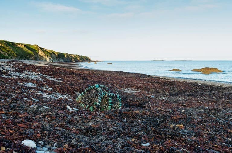 Bannow Bay - Ireland Highlights