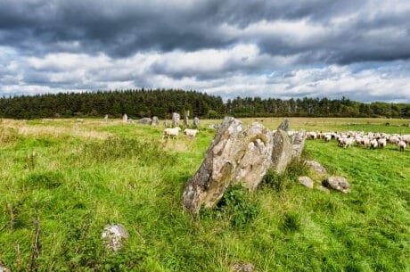Beltany Stone Circle - Ireland Highlights