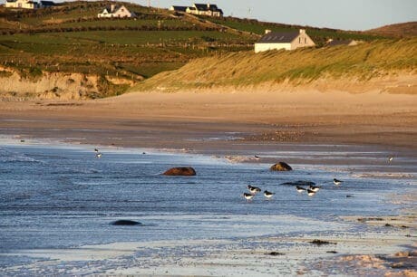 Carrowmore Beach - Ireland Highlights