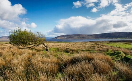 Carrowmore Lake - Ireland Highlights