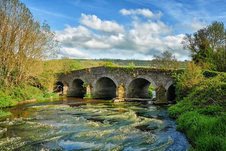 Clonegal Bridge - Ireland Highlights