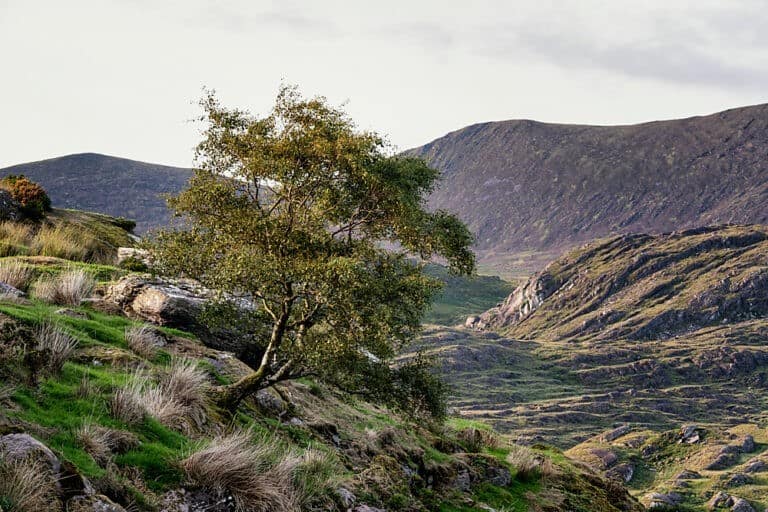 Glenmore Valley - Ireland Highlights