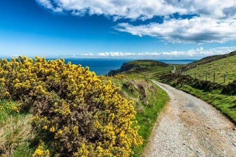 Inishowen Head - Ireland Highlights