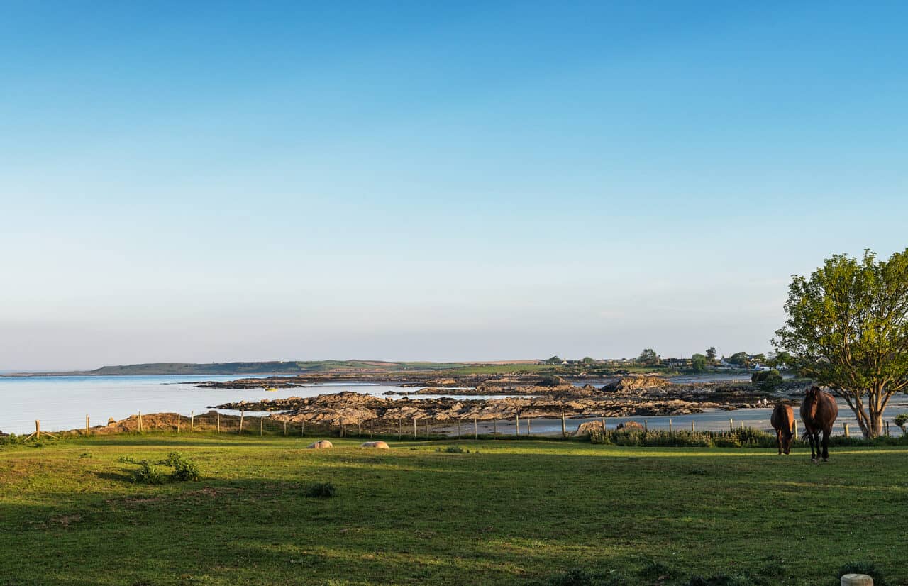 Killard National Nature Reserve - Ireland Highlights