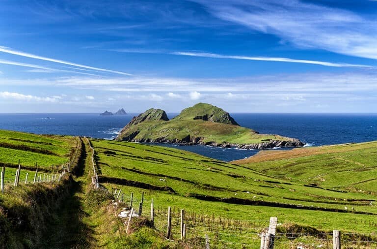 Puffin Island - Ireland Highlights