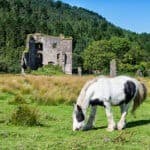 Castles & Strongholds - Ireland Highlights